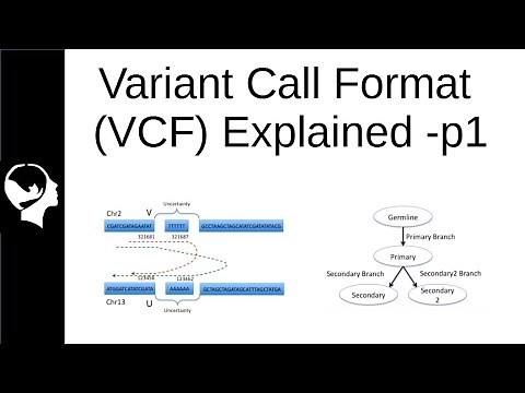 Understanding VCF file | Variant Call Format Part 1/3