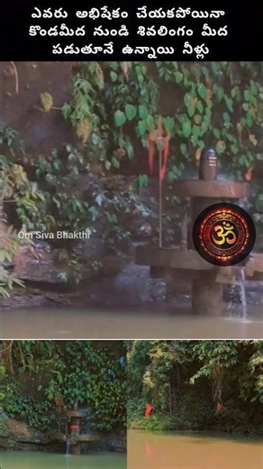 అడివిలో నదిలో ఉన్న శివలింగాన్ని చూడండి అభిషేకం జరుగుతుంది #shiva #devotional #om #god #hanuman #omm
