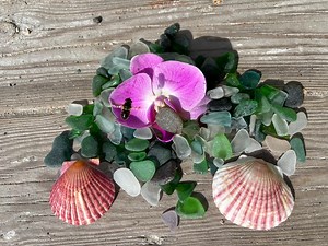 40 Pieces Set of Mixed Real Jewelry Sea Glass 0.5 - 1.5 Inch - Beach Sea Glass - Sea Glass Treasure - Natural Sea Glass for DIY - Etsy