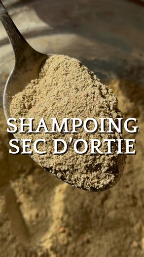 Retour à la Terre | Denis Broyer on Instagram: "🧴💆‍♂️Tu savais que l’ortie de ton jardin peut devenir un shampoing sec anti-pelliculaire ? Riche en minéraux, l’ortie : ✔ régule le sébum ✔ apaise le cuir chevelu ✔ aide à réduire les pellicules ✔ renforce naturellement les cheveux Avec de la poudre d’ortie, un peu de fécule et d’argile blanche, tu peux fabriquer un shampoing sec naturel, efficace et zéro déchet, directement à partir d’une plante de ton jardin. Une plante sauvage. Un soin gratuit