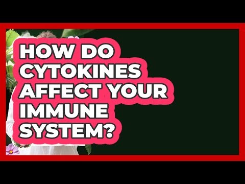How Do Cytokines Affect Your Immune System? - Functional and Integrative Wellness Guru