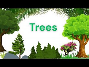 Trees | Trees Name | Trees Vocabulary | Trees Name in English@Snigdhakidslearning