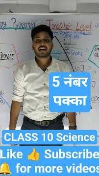 energy pyramid #class10science #boardexam2026 #shorts