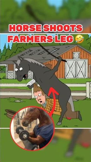 Family Guy- Horse Teaches Farmer a Lesson