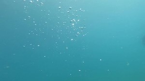 woman swimming with mask underwater looking for sea shells