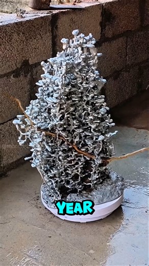 What Happens When You Cast a 20-Year-Old Ant Colony?