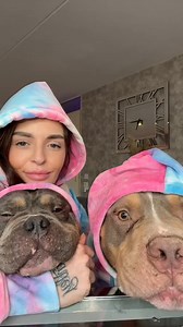 I guess its lip smacking good 😂 #reelitfeelit #relax #reelsinstagram #reelsfb #reels #dogsofinstagram #tiktokviral #dogs #doglover #doglife #dog #dogmom | Bundleofbullies