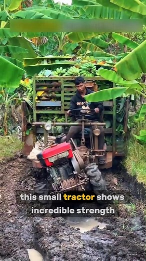 1.8K views | A small tractor but with a lot of power #agriculture #tractor #small | Excellent Laborer | Facebook