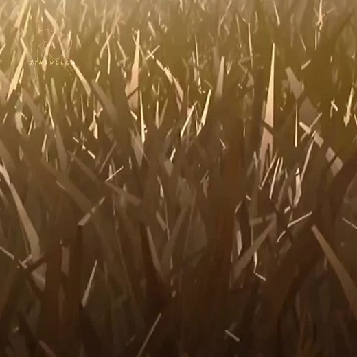 Discover the Mysterious Loth Cat in Star Wars Rebels