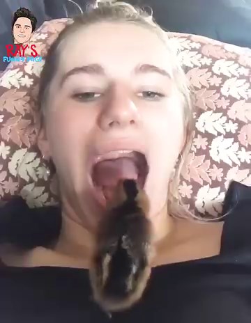 3.4M views · 10K reactions | Unexpected moments of 2023 | Ray's Funny Page | Facebook