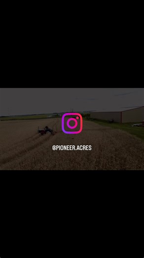 4.8K views · 77 reactions | There’s something special about watching...