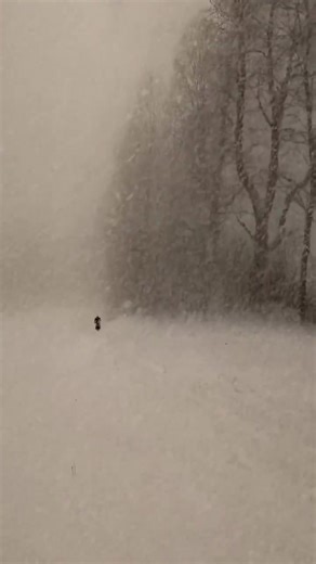 13K views · 737 reactions | John Steed on Reels | Facebook