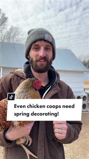 Spring Decorating for Your Chicken Coop | Tractor Supply Co