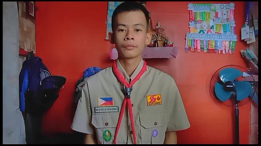 The Scout oath of the sign language. I'm deaf