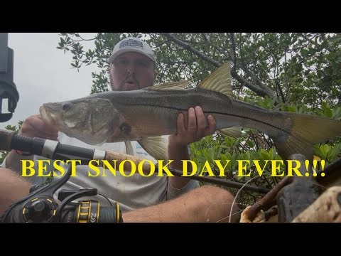 BEST SNOOK DAY EVER!!! 36 inch monster snook + more fishing near Sanibel Causeway