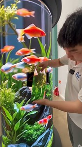 314K views · 3.7K reactions | Bend the rules of design with our...