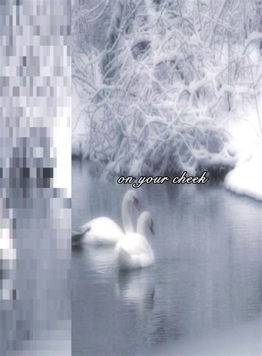 Buck-Tick's Beautiful Song: Snow White Analysis