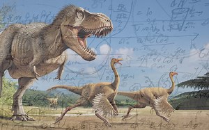 هل الرياضيات اختراع أم اكتشاف؟ سابقة أم لاحقة للوجود الإنساني!