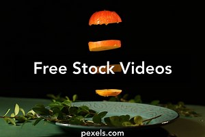Still Video Videos, Download The BEST Free 4k Stock Video Footage & Still Video HD Video Clips