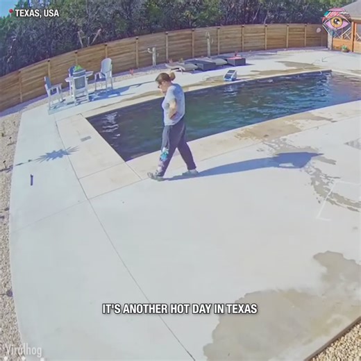 596K views · 338 reactions | It wanted a quick dip | Bright Side Fun | Facebook