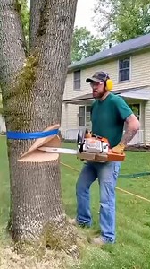 Close Calls and Mistakes in Logging #satisfying #tree #giant #asmr #oddlysatisfying #fyp | Agriculture &Tree-cutting