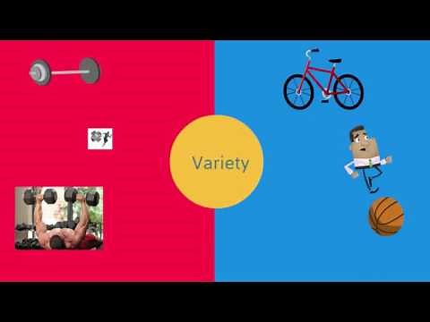 Principles of training