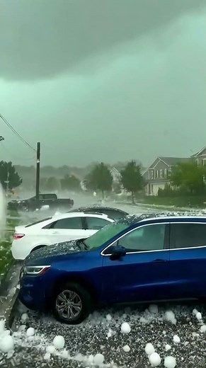 OwenDominicMD | #viral #reelviral #nature | Instagram