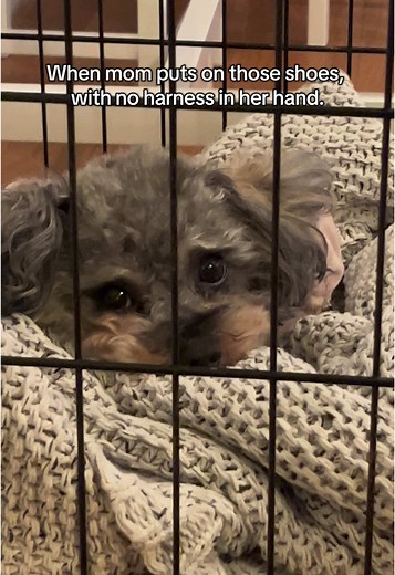 Ava Simone on TikTok