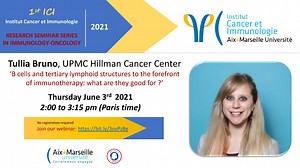 ICI - Seminar Series, Tullia Bruno « B cells and tertiary lymphoid structures to the forefront of immunotherapy: what are they good for? »