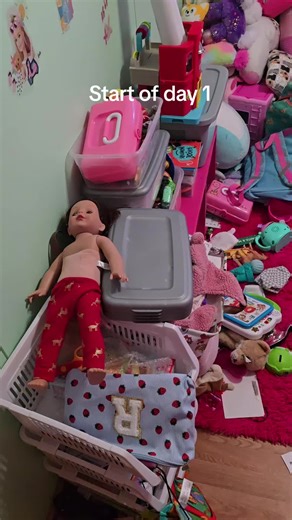 What a day! This weekend is dedicated to the new playroom. This took about 6 hours (I obviously stopped to help my kids and feed them and attempt naptime). The only thing I did on day 1 was remove the bed that was in there, throw all the stuffed animals into 1 spot, and pick up as much clothes and garbage as I could. Day 2 was spent sorting through miscellaneous toys bins and finding their correct bins, stuffing stuffed animals in the animal zoo and rope baskets, tried to vacuum the rug but I'm 