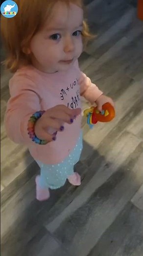 Spider Surprise | Spider Box Prank || Funny Box Toy Spider Prank Jump Scare | Funny Videos #shorts