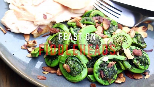 How to Forage for and Cook Fiddlehead Ferns