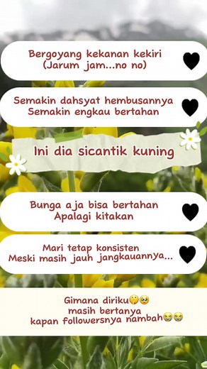 4 comments | Belajar dari alam, mencoba bertahan dan konsisten..peace #bunga #motivationalquote #inspirasi #viralreelsfb #trendingreels2024 #fyp #saturdays | Heri Astuti | Facebook