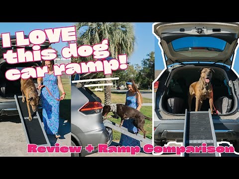 WeatherTech Pet Lightweight Folding Dog Ramp Review