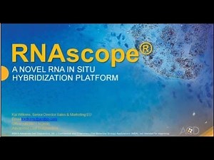 RNAscope® - a novel breakthrough RNA in situ hybridization platform
