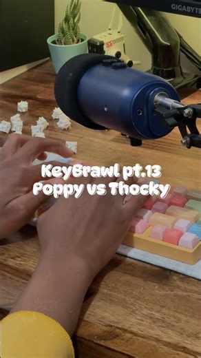 Best keyboard sounds.. which board would you pick? Poppy vs Thocky #keyboard #asmr #setup
