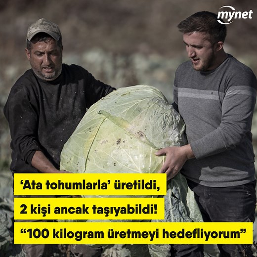 326K views · 5.6K reactions | 'Ata tohumlarla' üretildi, 2 kişi ancak taşıyabildi! "100 kilogram üretmeyi hedefliyorum" | Mynet | Facebook