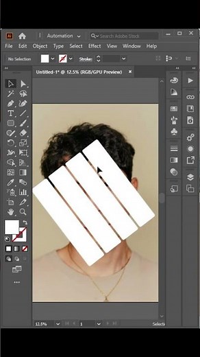 From Beginner to Pro with Illustrator Techniques by an Expert
