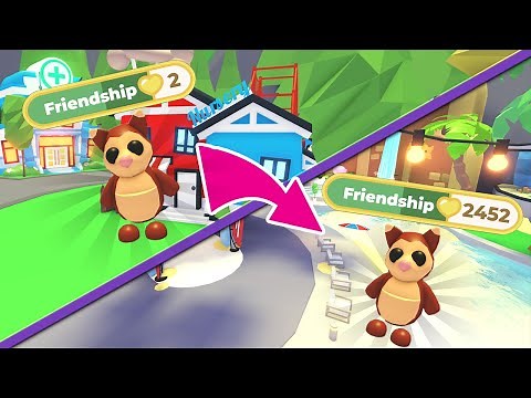 😁EVERYTHING You Need To Know About The New FRIENDSHIP BAR In Adopt Me! 📝 Friendship Bar Explainer!