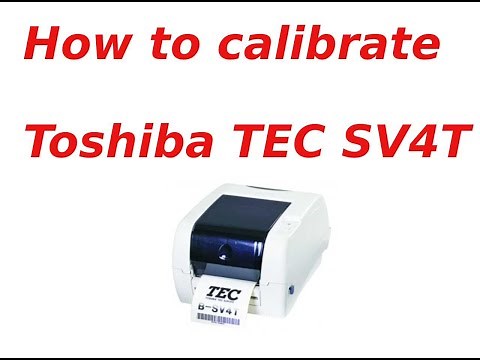Toshiba SV4T - calibration media