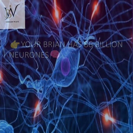 our brain has 86 billion neurones 🤯 l Amazing human brain facts 🧠