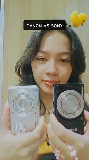 Canon IXUS 185 vs Sony Cybershot DSC-W710 Comparison