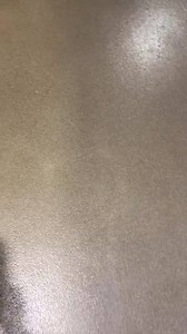 Nala 1799245 2 year old neutered male Owner surrender - assisted living Ready to go Main thread https://www.facebook.com/UrgentCatsOfTampaBay/photos/a.186386354874125.1073741860.124933961019365/809658319213589/?type=3&theater Mocha, Nala and Panda were surrendered by their owner's daughter when their elderly owner had to go to assisted living facility. Their owner's daughter claimed she didn't like cats and therefore couldn't give them a home. They have only known their owner and are now suddenl