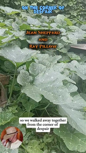 50K views · 1.1K reactions | On The Corner Of Despair - Jean Sheppard & Ray Pillow (requested) - Country Classics - TJYCM will take you back to Yesterday's REAL COUNTRY MUSIC #oldschool #countryclassics | The Jukebox, You, & Country Music | Facebook