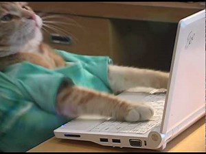 Keyboard Cat Starts Blogging!