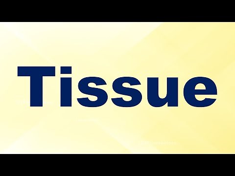 Tissue Definition and Example I Biology