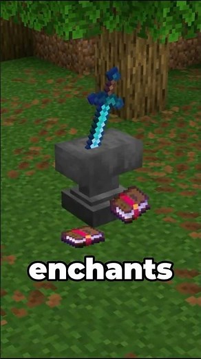 MORE ENCHANTS in Minecraft!