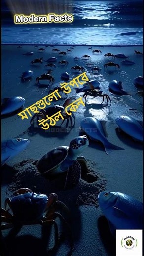 “The Little Turtle Who Saved the Ocean” #shorts #viral#SeaTurtle#OceanHero#AnimalStory