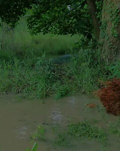 1M views · 22K reactions | Catching and cooking fish is a highly delightful experience. ️ Part 16 | Fun to eat.com | Facebook