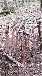 Easy Creative traps #trap #survival #outdoors #forest #skills #camping #tips #challenge #trap #skills #reels #hunting #alamliar #fores #nature #wildlife #photography #ontario #trav | Trap F. Forest